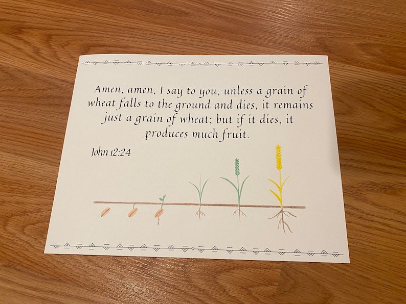 Mystery of Life and Death | Catechesis of the Good Shepherd | CGS Level ...