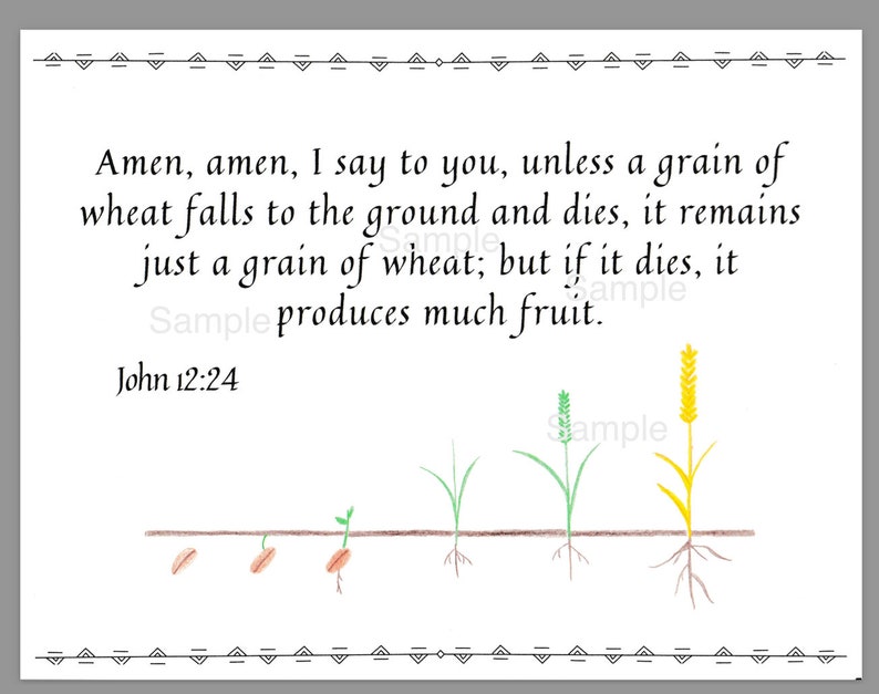 Mystery of Life and Death | Catechesis of the Good Shepherd | CGS Level ...