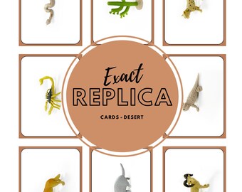 Montessori Toddler Language Cards Backyard Birds - Etsy