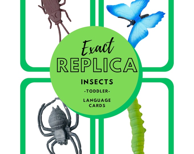Montessori Toddler Language Cards- Insects - Etsy