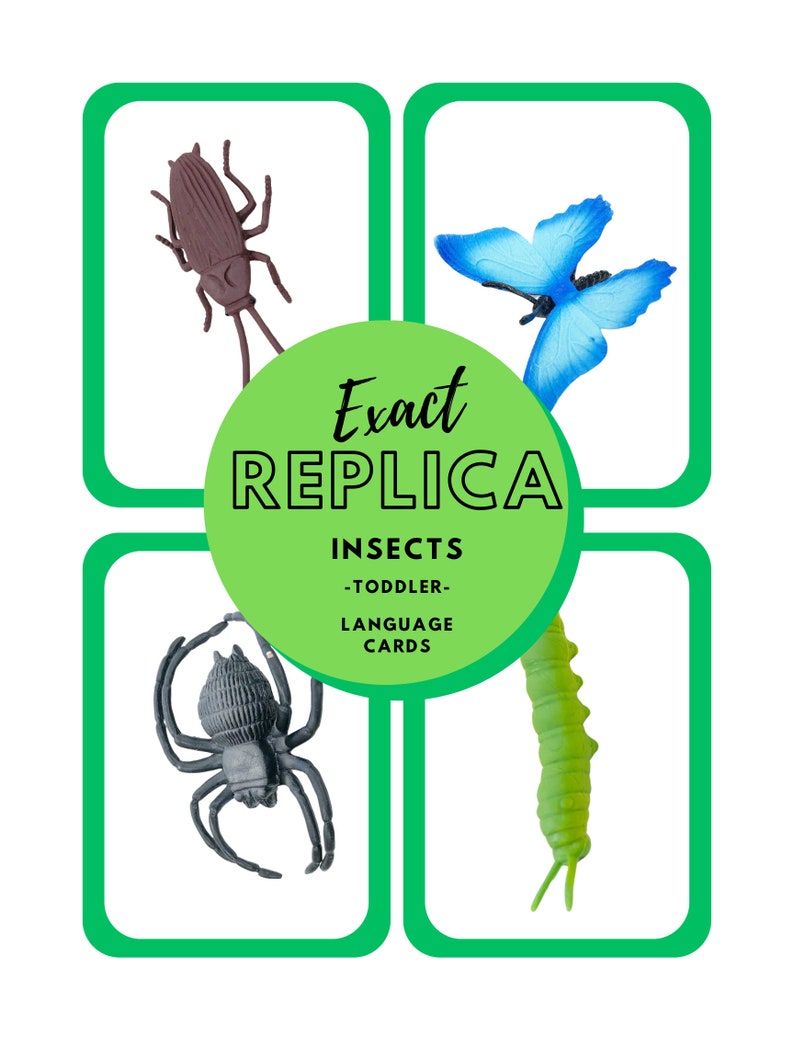 Montessori Toddler Language Cards- Insects - Etsy