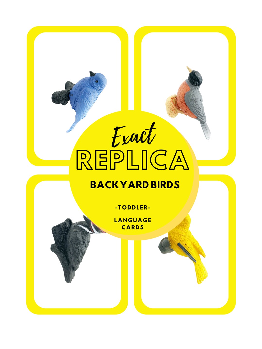 Montessori Toddler Language Cards - Backyard Birds - Etsy