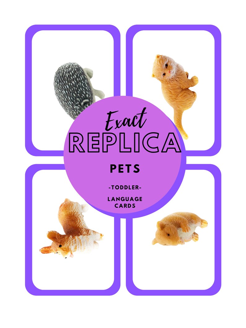 Montessori Toddler Language Cards- Pets - Etsy