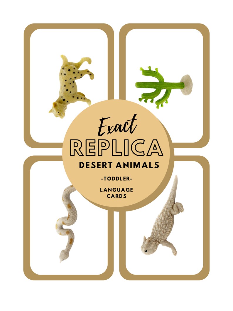 Montessori Toddler Language Cards - Desert - Etsy