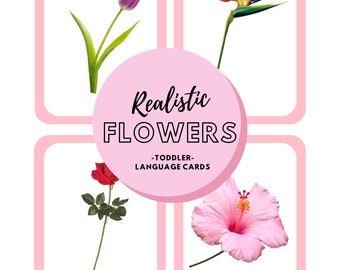 Montessori Toddler Language Cards- Realistic Community Leaders - Etsy