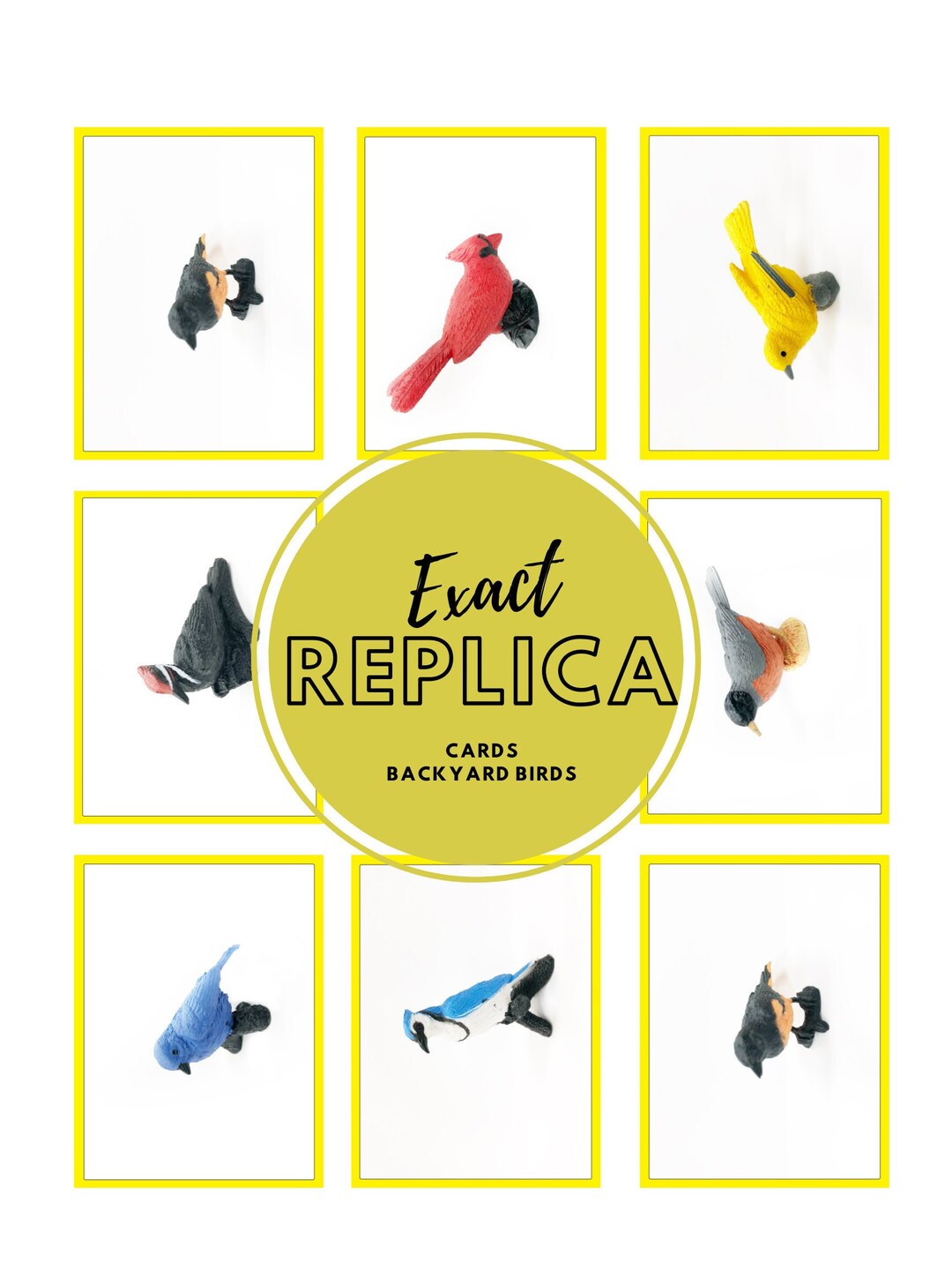 Montessori Toddler Language Cards Backyard Birds - Etsy