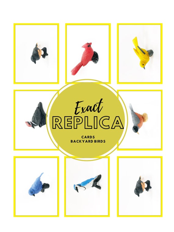 Montessori Toddler Language Cards Backyard Birds - Etsy