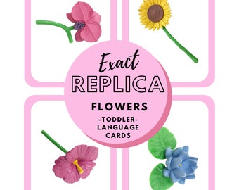 Water Transportation Montessori Language Cards - Etsy