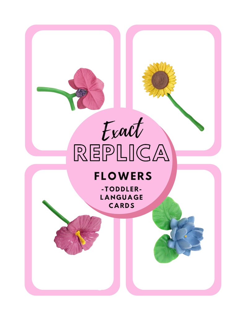 Montessori Language Cards - Flowers - Etsy