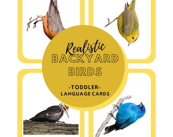 Montessori Toddler Language Cards-realistic Backyard Birds - Etsy