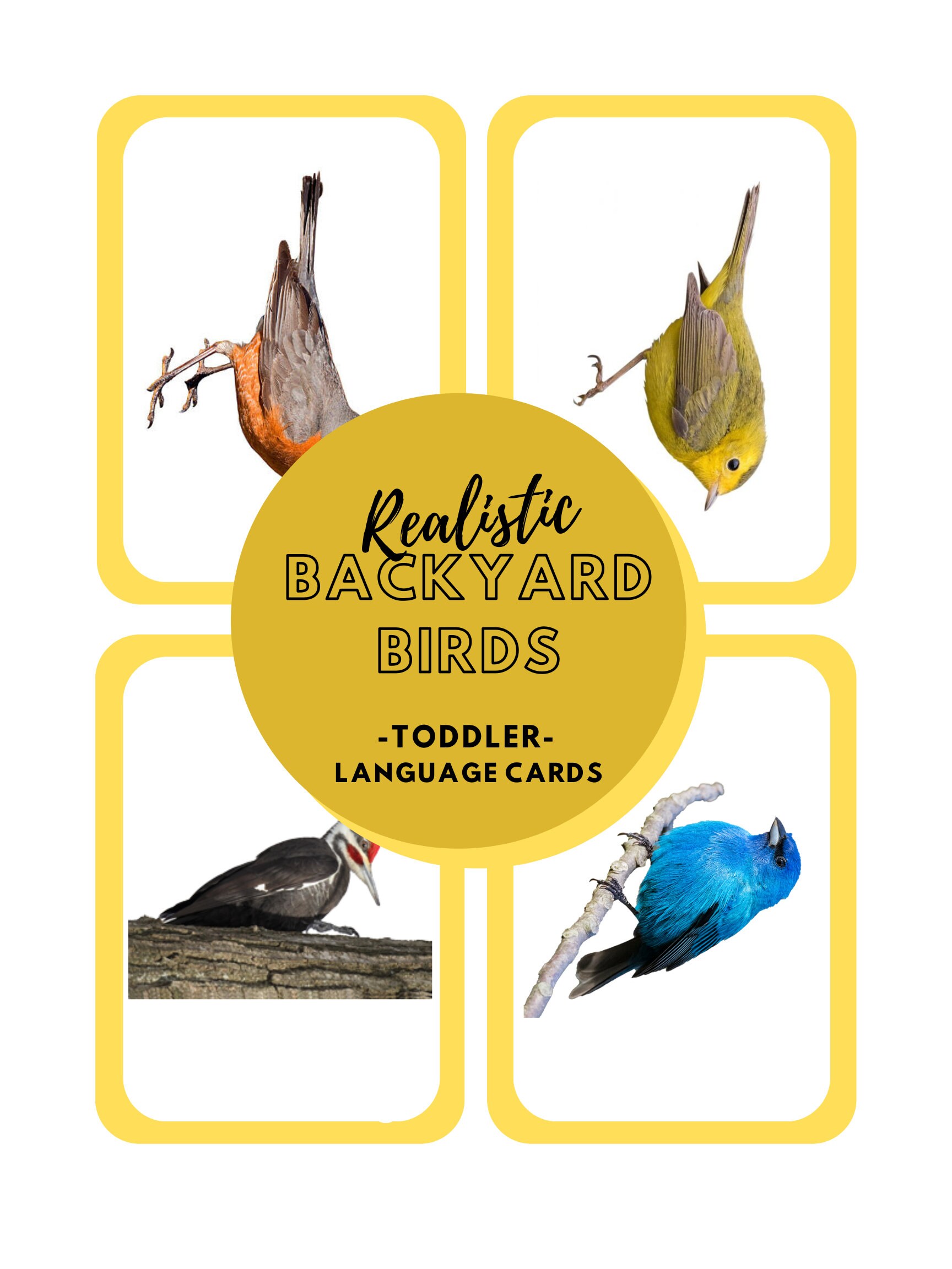 Montessori Toddler Language Cards-realistic Backyard Birds - Etsy