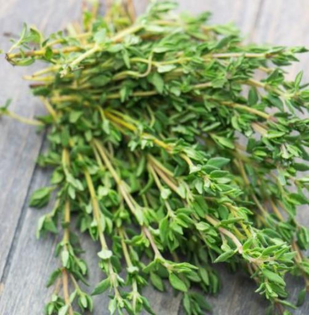 Thyme Seeds, Thyme Seed Packet, (50 Seeds) - Etsy