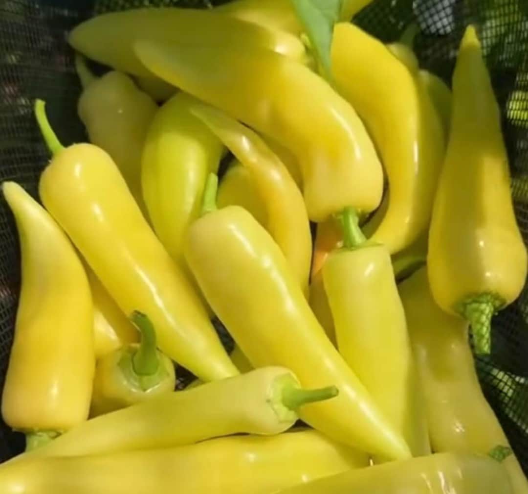 Pepper Seeds, Sweet Banana Pepper Seed Packet (25 Seeds) - Etsy