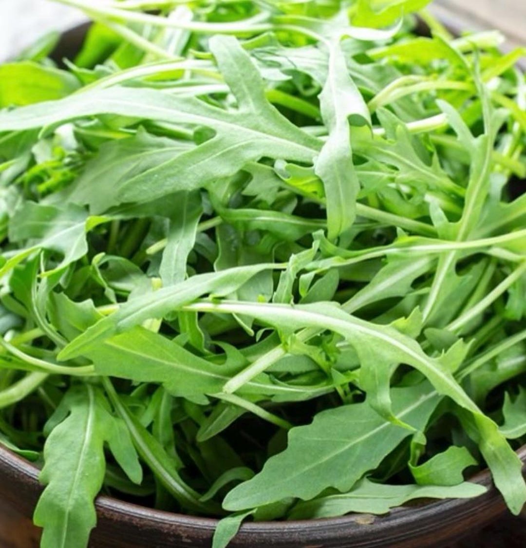 Arugula Seeds, Arugula Seed Packet (100 Seeds) - Etsy