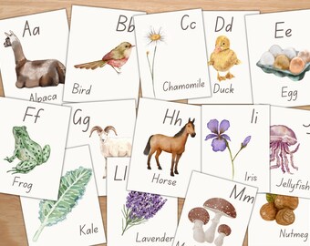 Alphabet Flashcards / Abcs / Animals / Montessori / Watercolor - Etsy