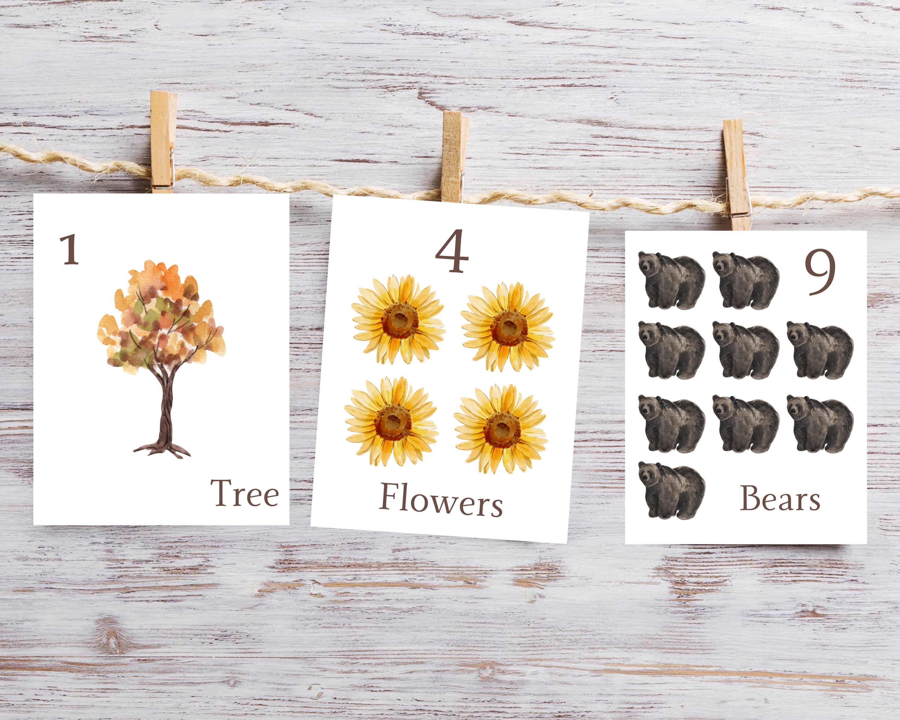 Nature Themed Counting Cards for Babies, Toddlers, and Children ...