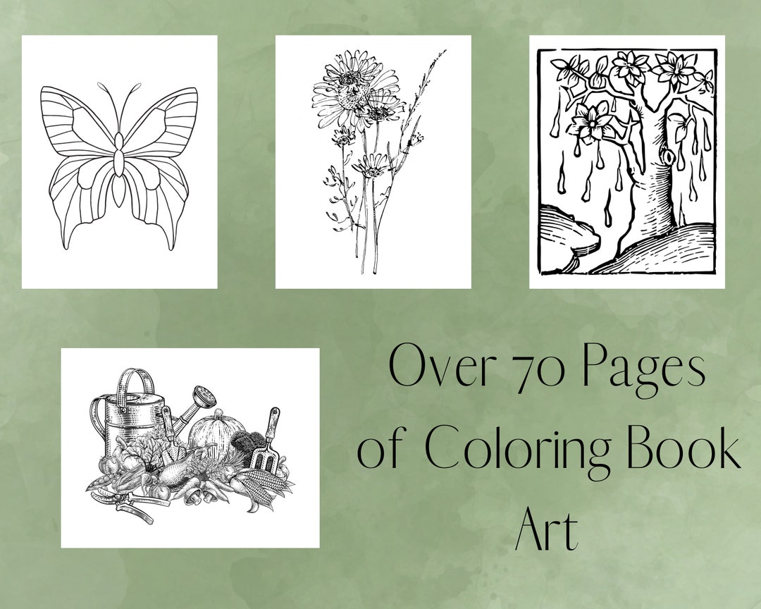 Nature Themed Childrens Coloring Book - Etsy