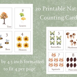 Nature Themed Counting Cards for Babies, Toddlers, and Children ...
