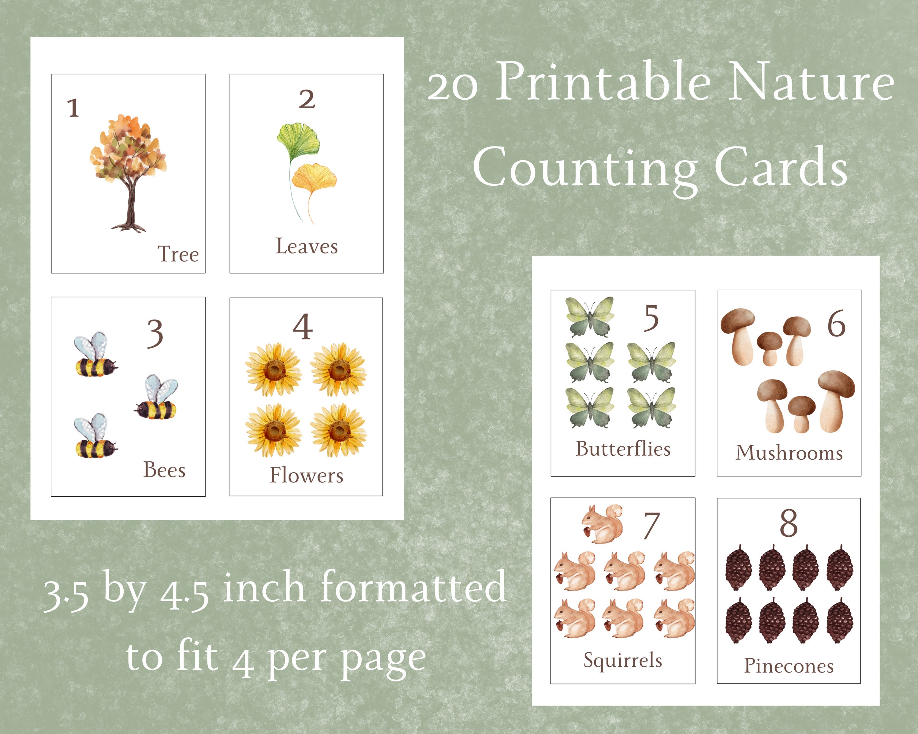 Nature Themed Counting Cards for Babies, Toddlers, and Children ...