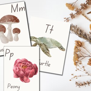 Watercolor Nature Alphabet Flashcards - Etsy