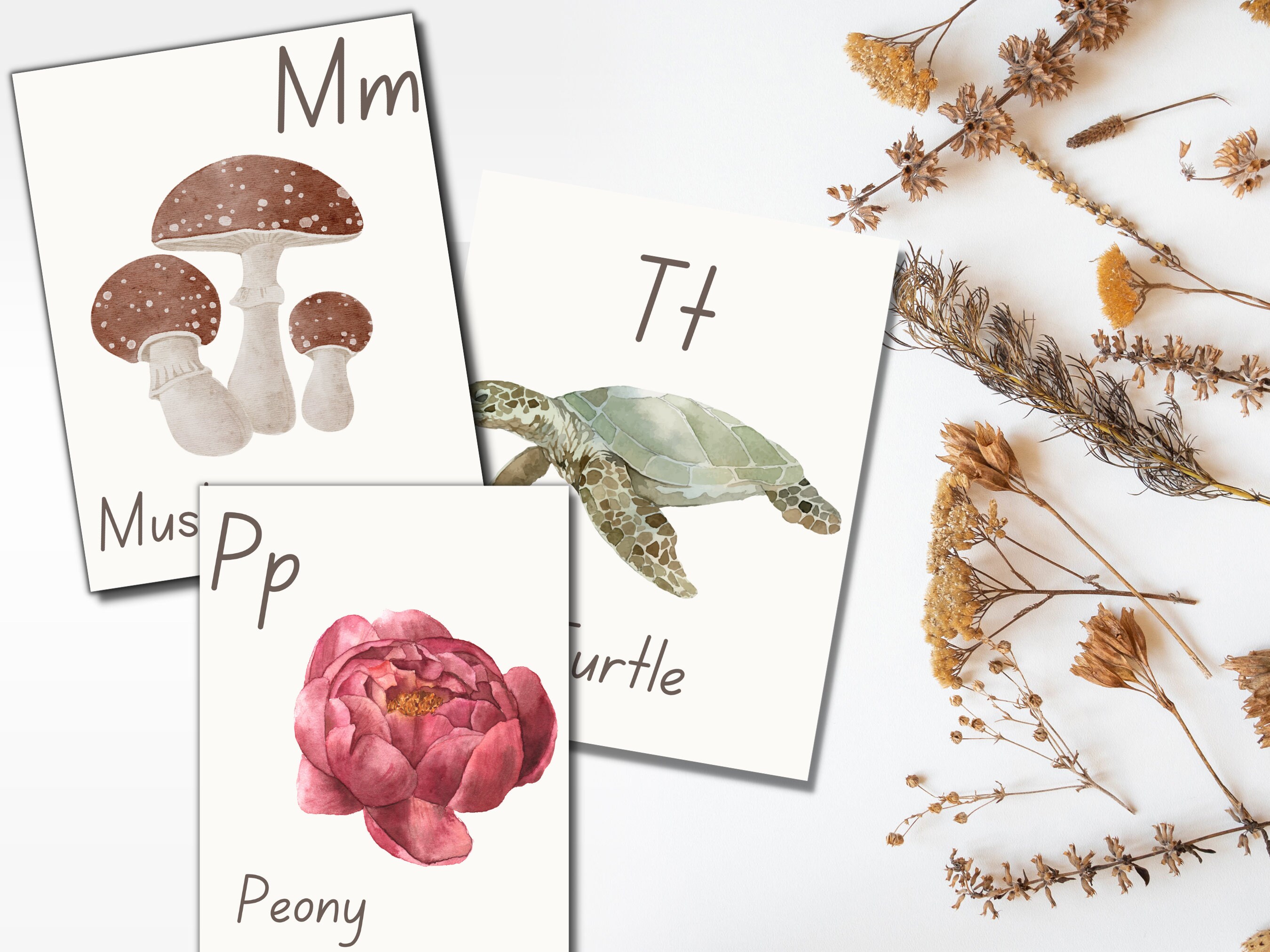 Watercolor Nature Alphabet Flashcards - Etsy