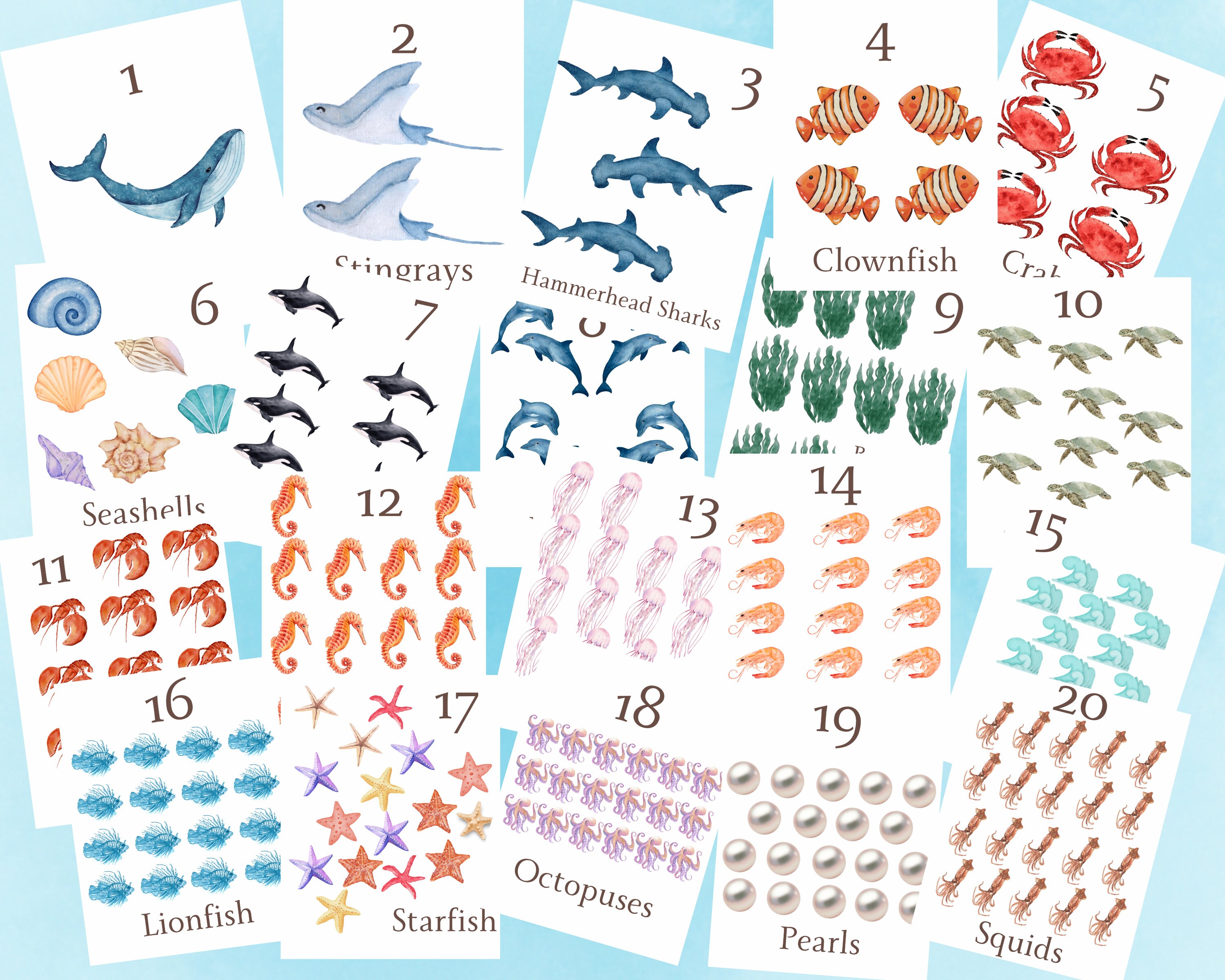 Ocean Themed Counting Cards Oceanography Homeschool Printables ...