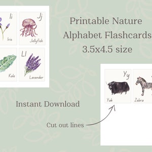 Watercolor Nature Alphabet Flashcards - Etsy