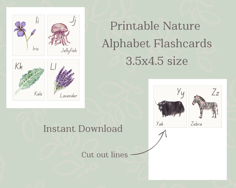 Watercolor Nature Alphabet Flashcards - Etsy