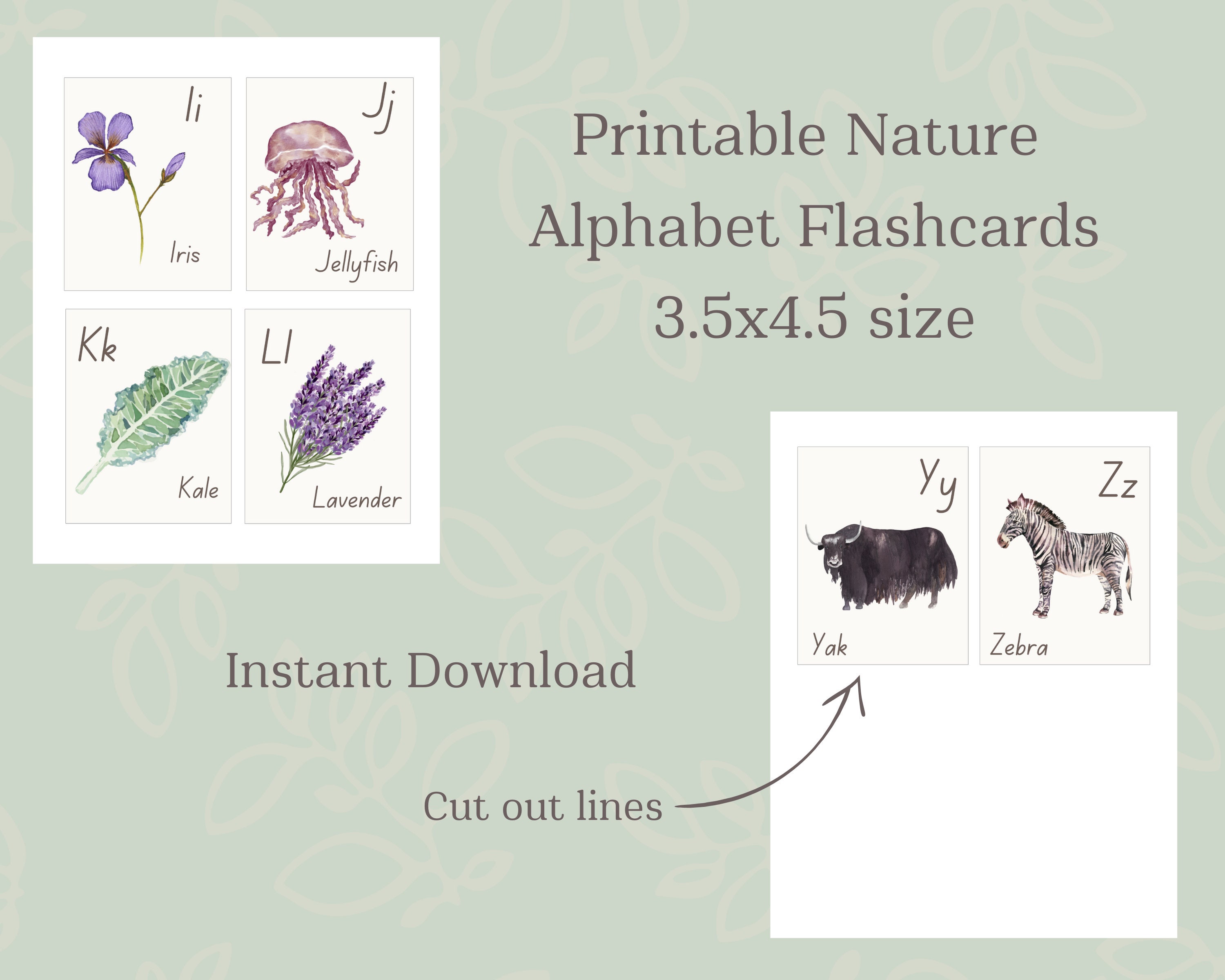 Watercolor Nature Alphabet Flashcards - Etsy