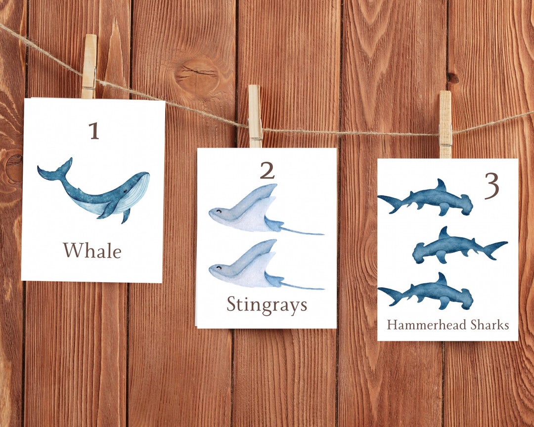 Ocean Themed Counting Cards Oceanography Homeschool Printables ...