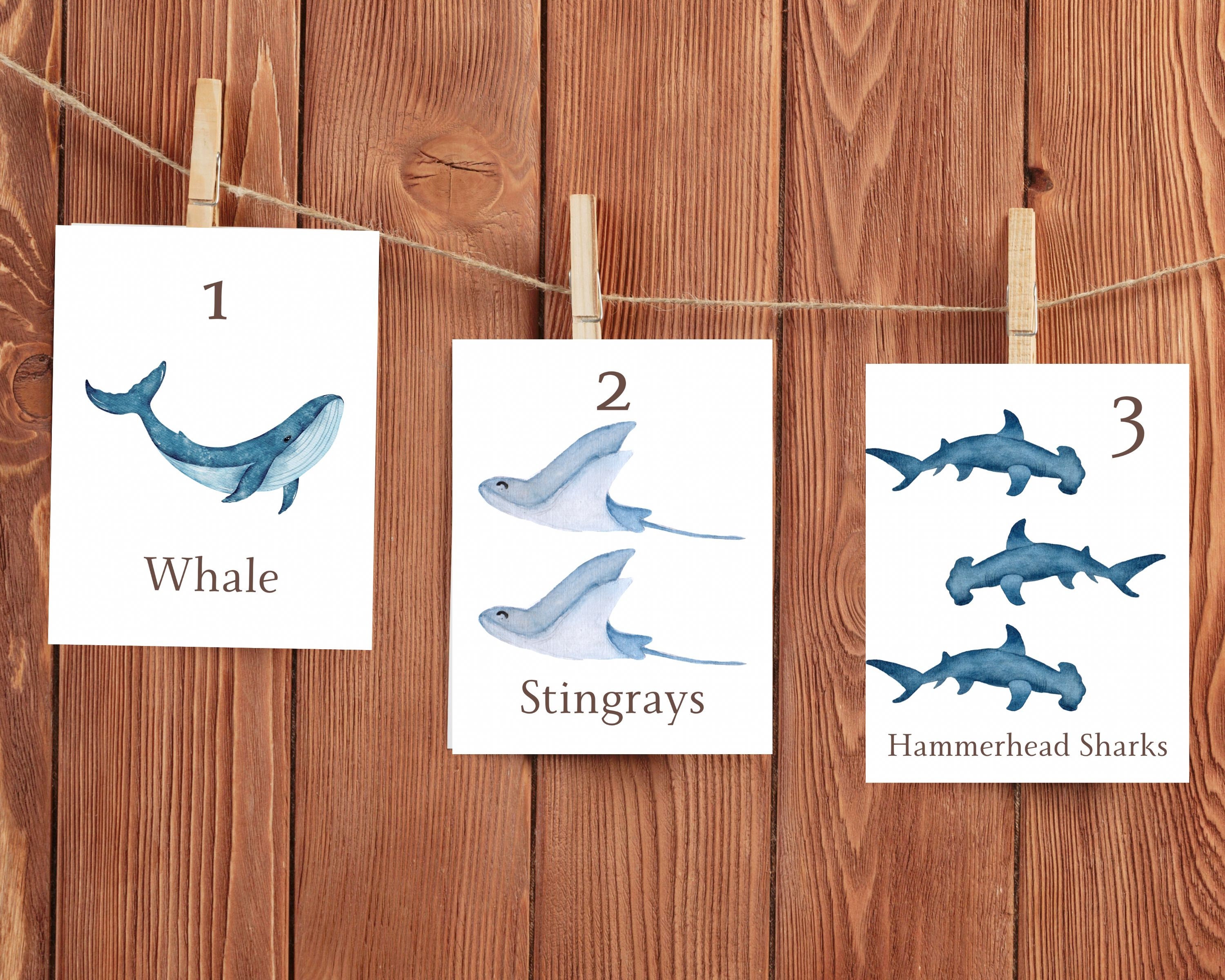Ocean Themed Counting Cards | Oceanography Homeschool Printables ...