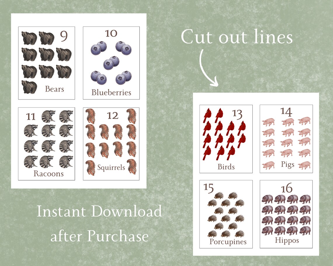 Nature Themed Counting Cards for Babies, Toddlers, and Children ...