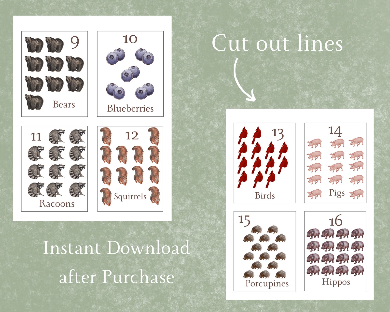 Nature Themed Counting Cards for Babies, Toddlers, and Children ...