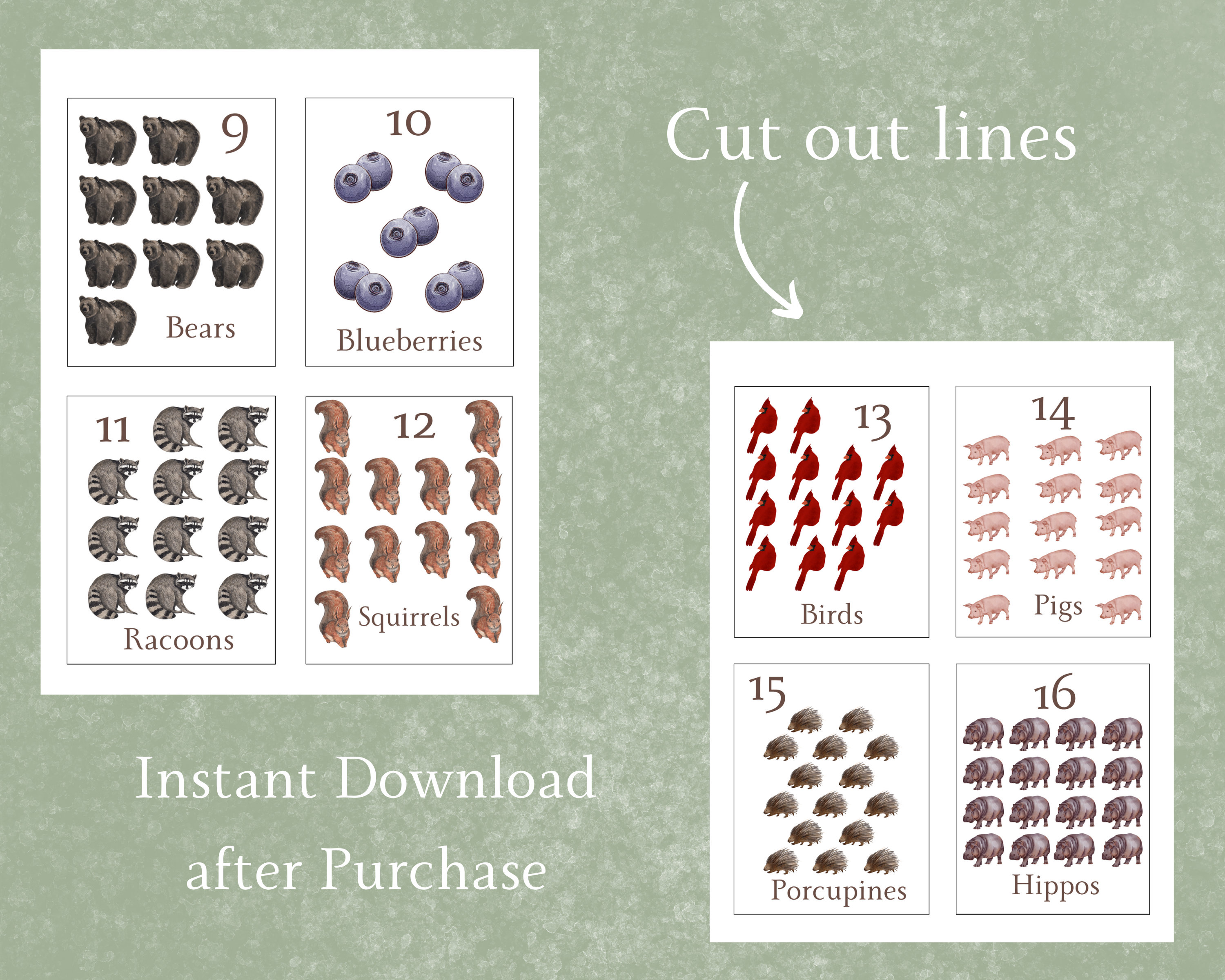 Nature Themed Counting Cards for Babies, Toddlers, and Children ...