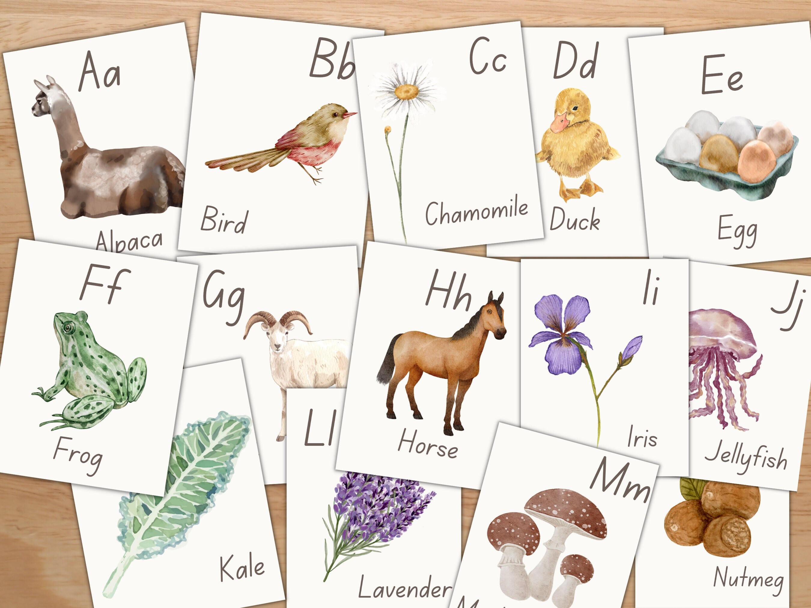 Watercolor Nature Alphabet Flashcards - Etsy