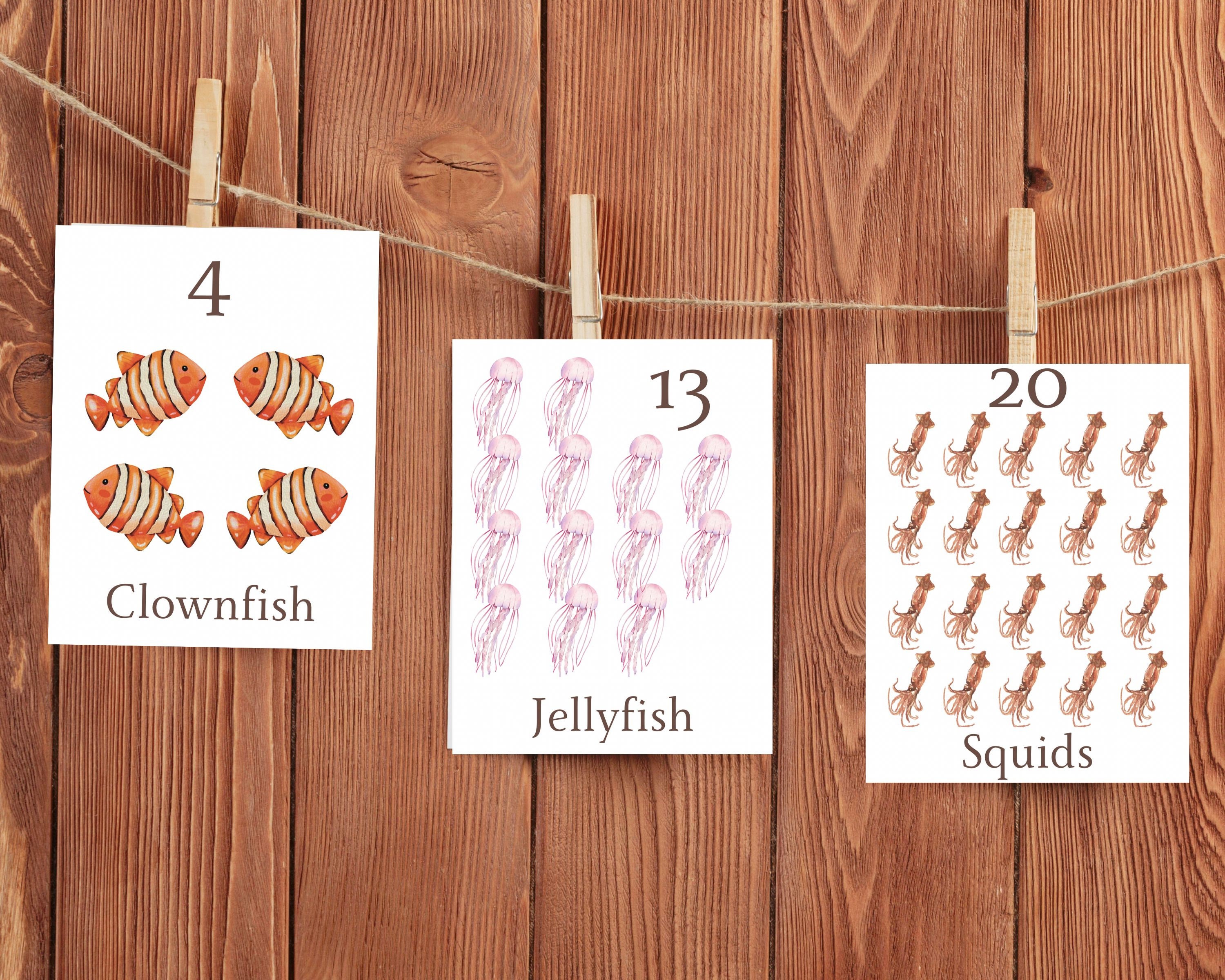 Ocean Themed Counting Cards Oceanography Homeschool Printables ...