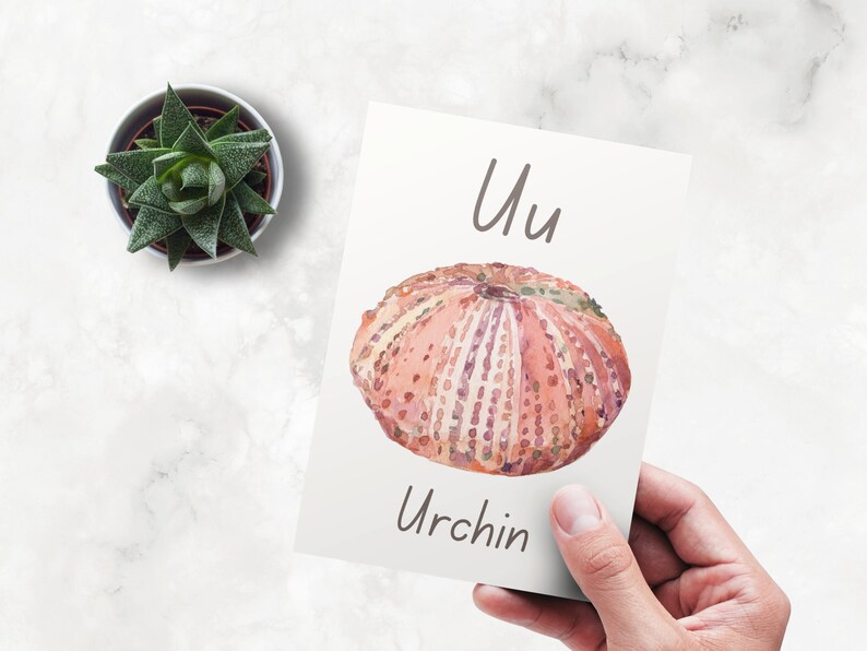 Watercolor Nature Alphabet Flashcards - Etsy