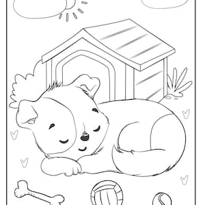 40 Animal Coloring Pages - Etsy