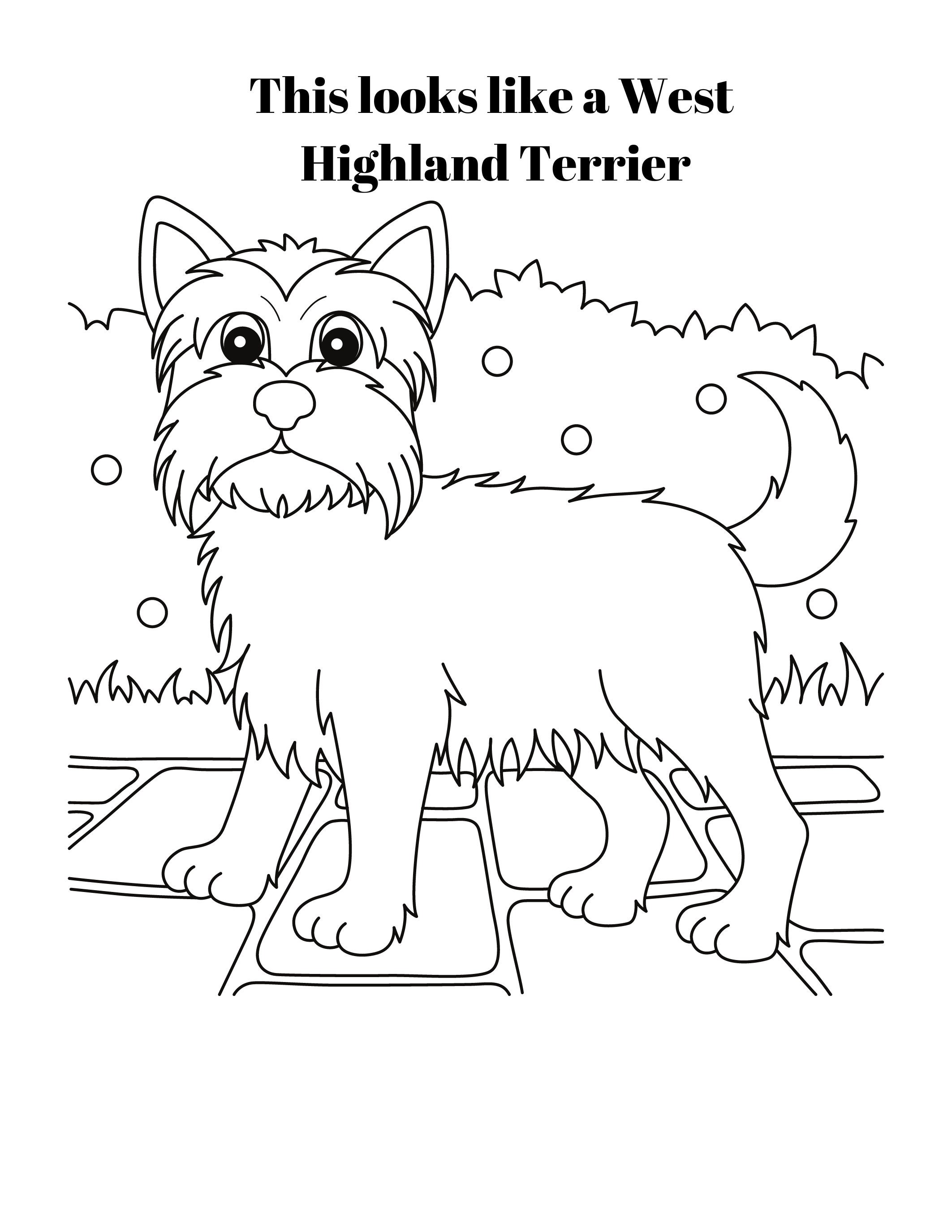Dog Breeds Coloring Book for Kids print-at-home - Etsy
