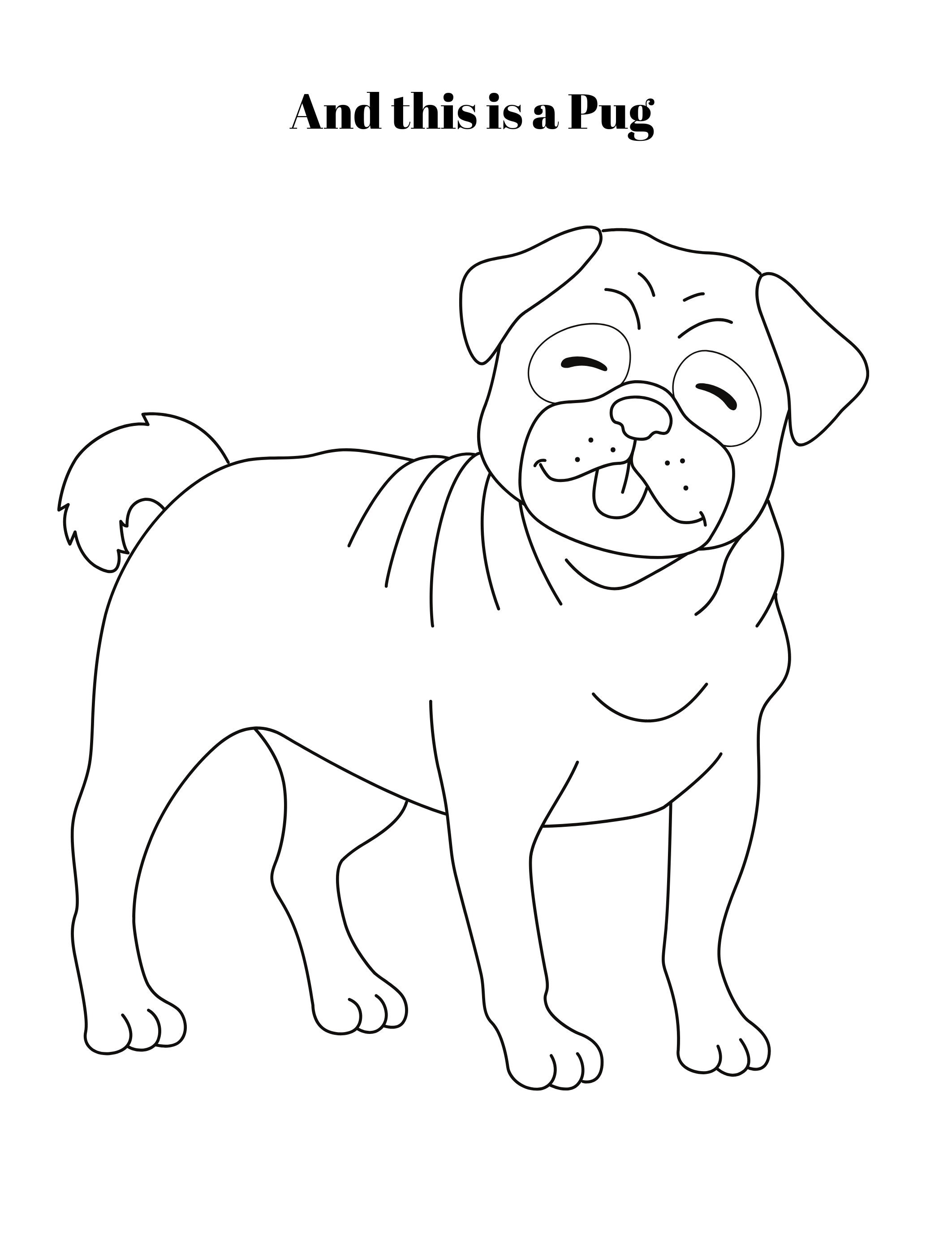 Dog Breeds Coloring Book for Kids print-at-home - Etsy