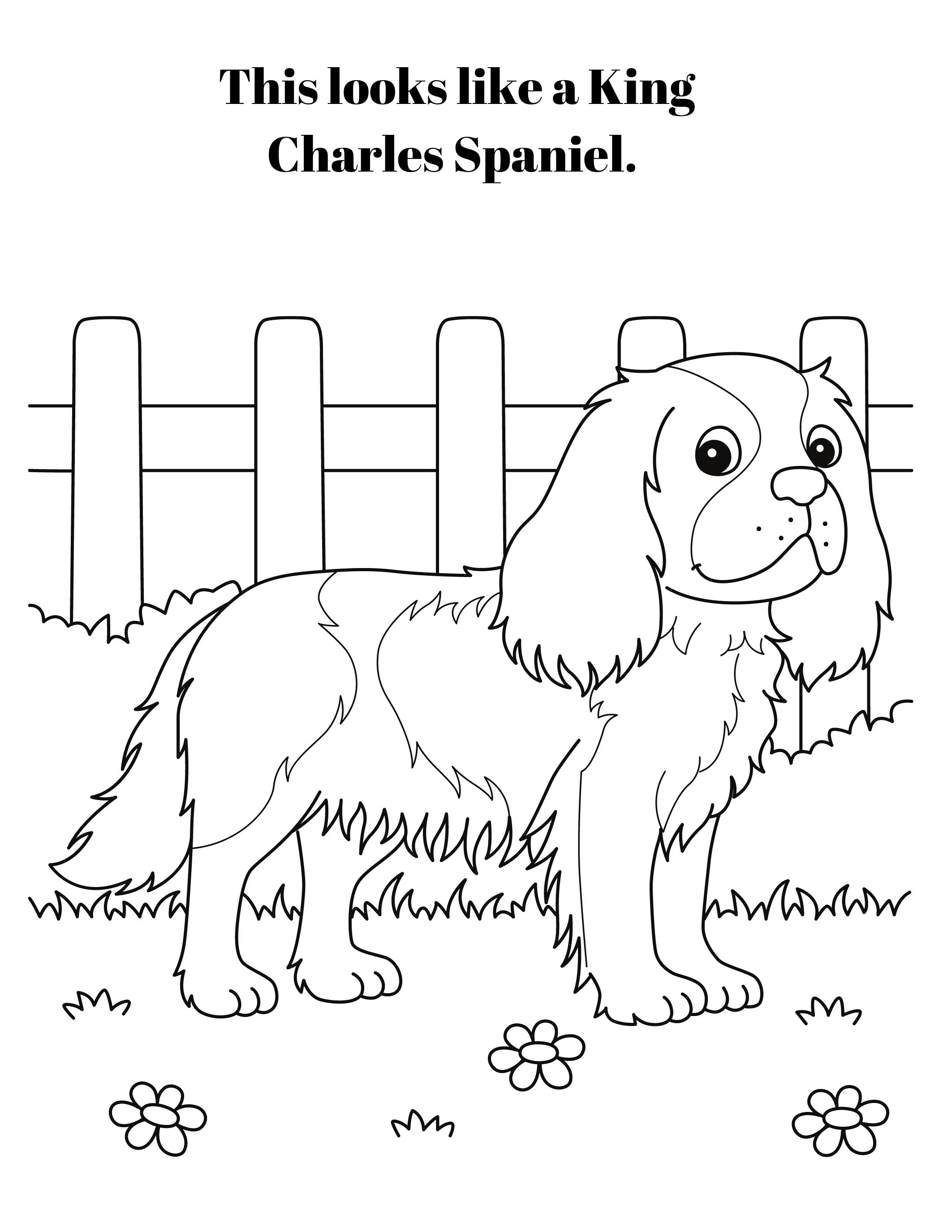 Dog Breeds Coloring Book for Kids print-at-home - Etsy