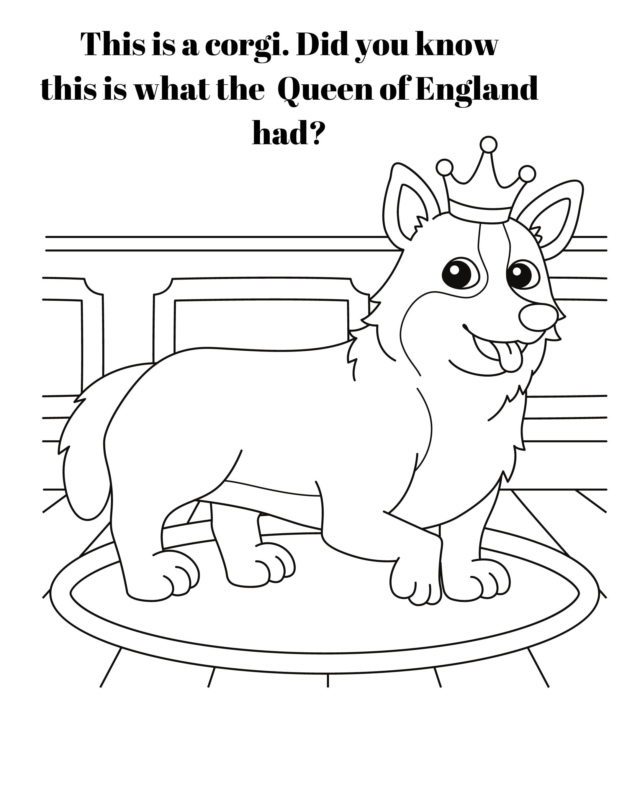 Dog Breeds Coloring Book for Kids print-at-home - Etsy