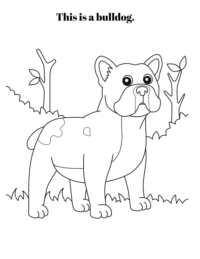 Dog Breeds Coloring Book for Kids print-at-home - Etsy