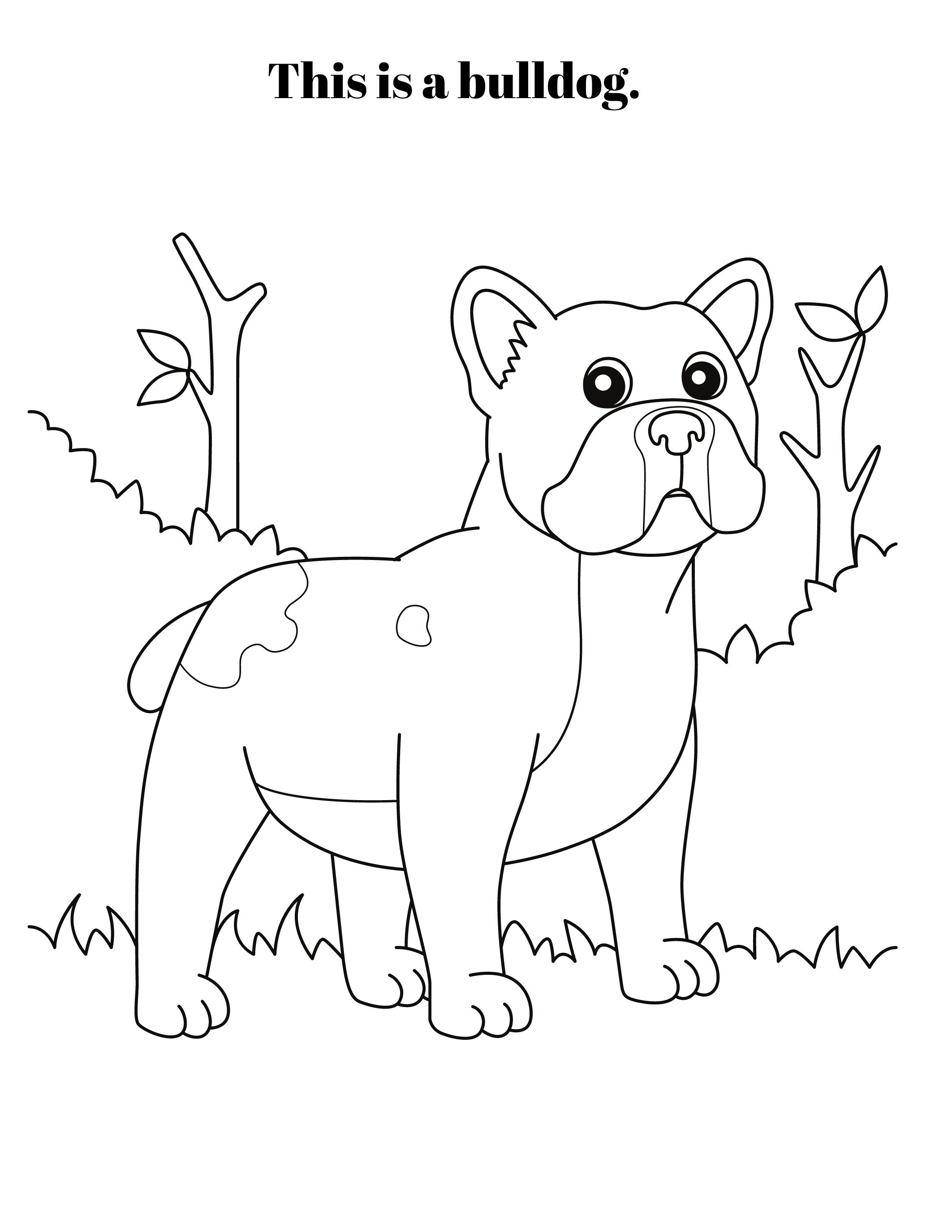 Dog Breeds Coloring Book for Kids print-at-home - Etsy