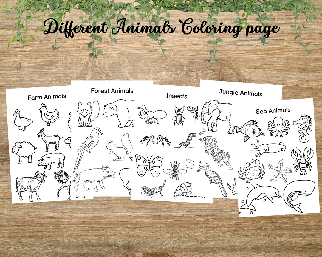 Animals Coloring Page Educational Fun Creative Engagement Classroom ...