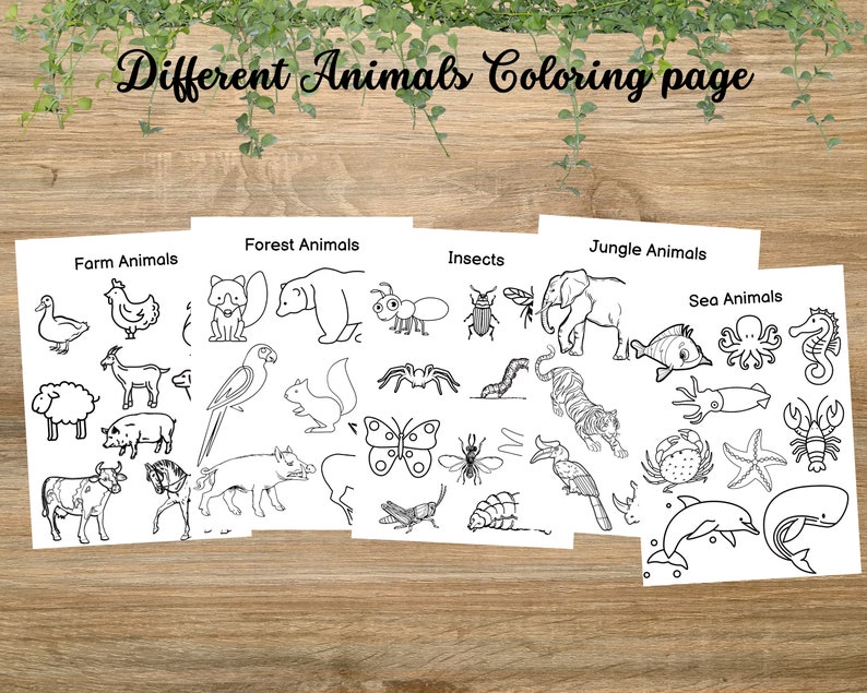 Animals Coloring Page Educational Fun Creative Engagement Classroom ...