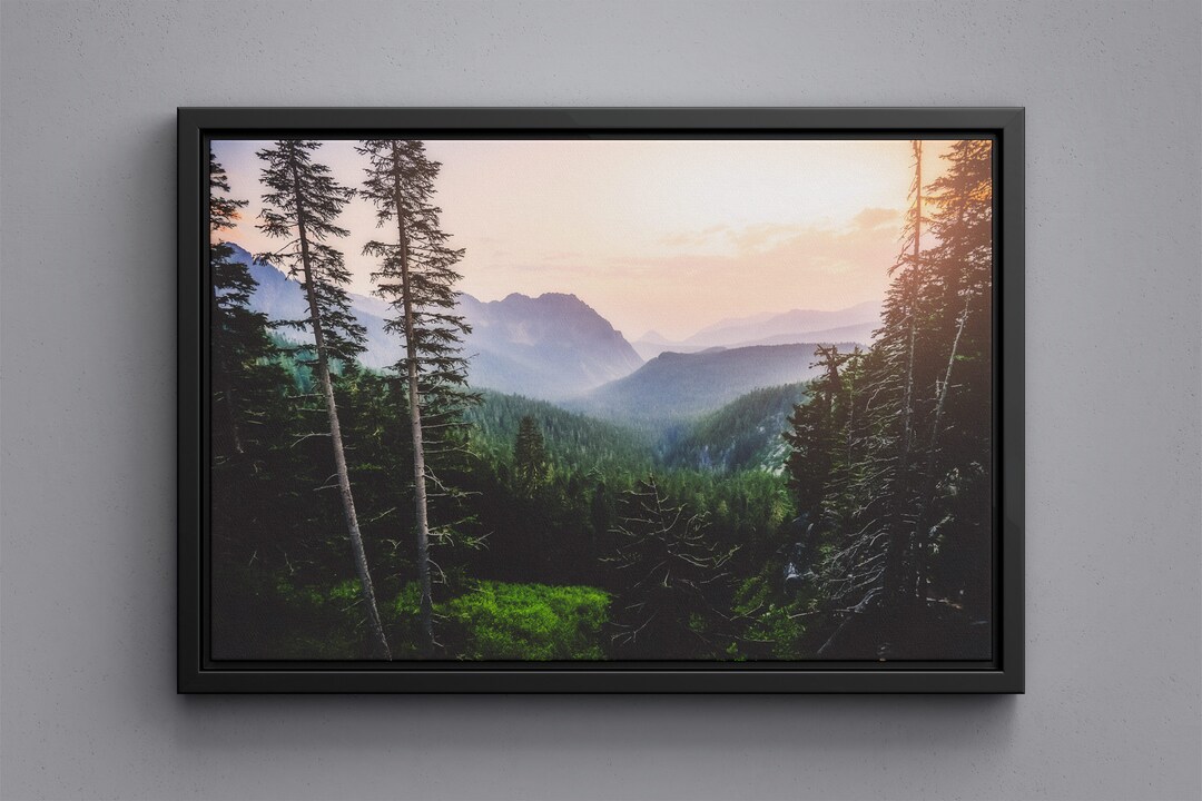 Scenic View From Mt Rainier View Point Canvas, Large Size Poster ...