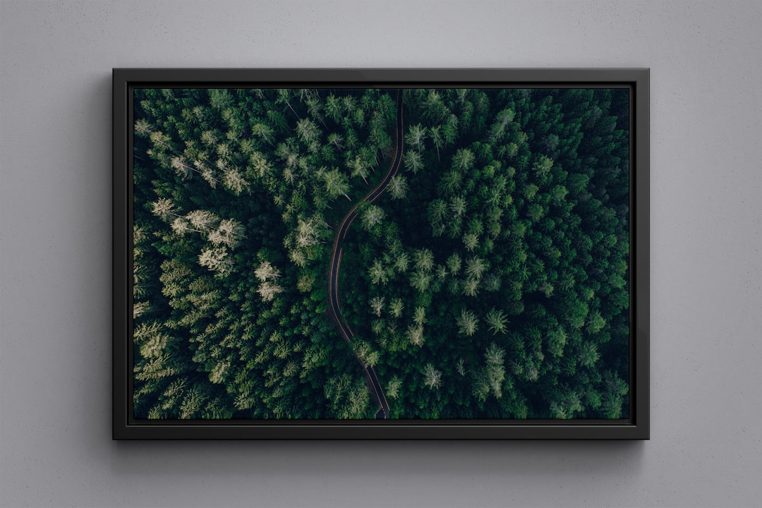 Road in the Forest Canvas, Aerial View Forest Large Poster, Misty ...