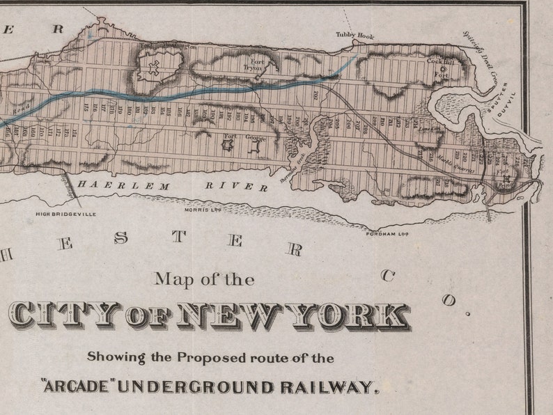 Map of the City of New York Showing Proposed Arcade - Etsy Australia