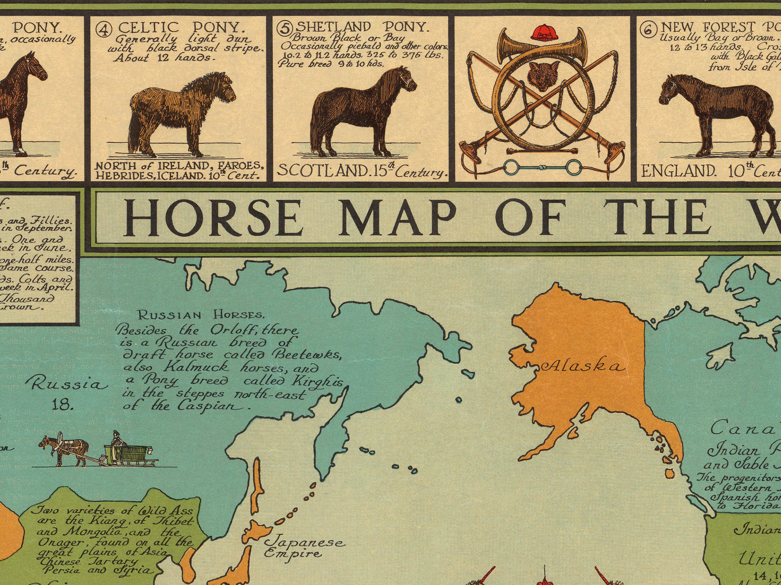 Vintage Horse Map of the World 1934 Old Equestrian Map Antique Horse ...